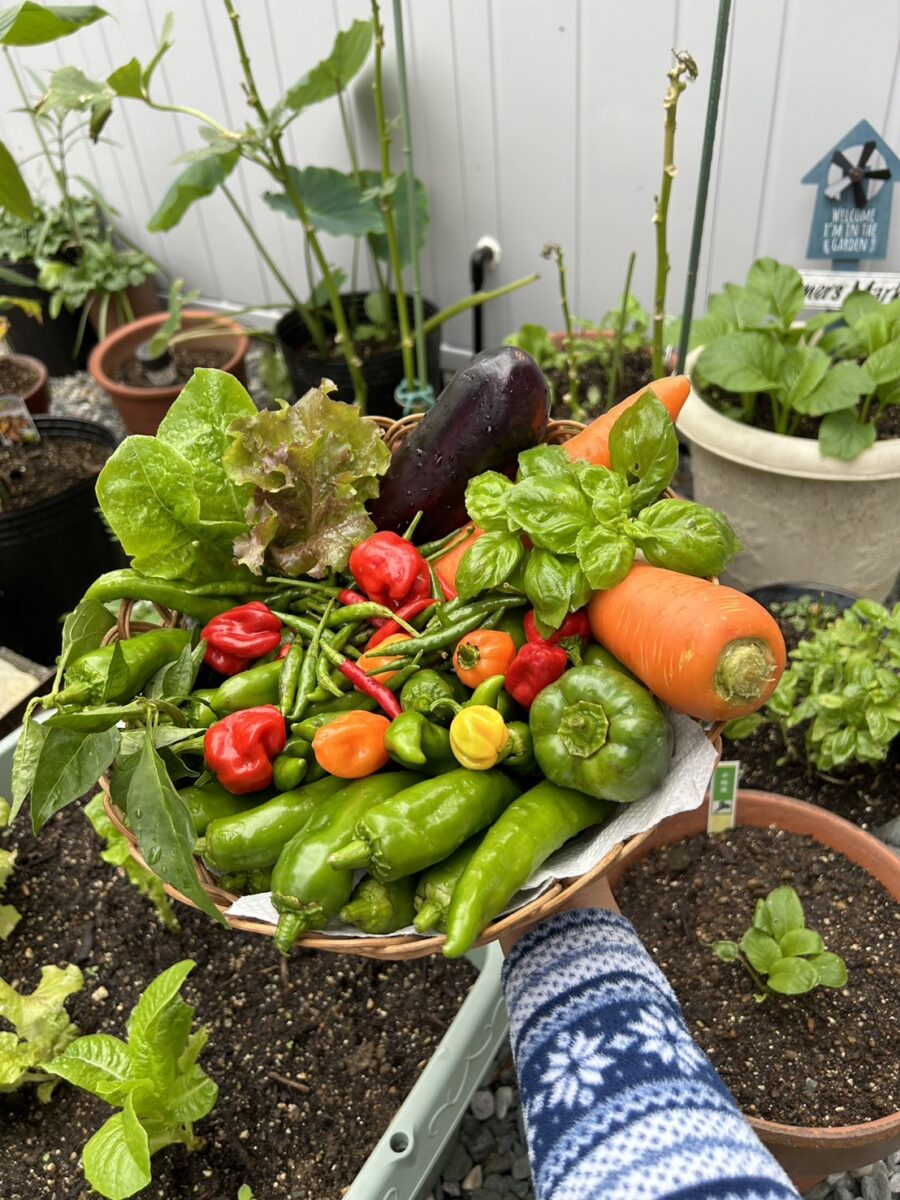 インターカルチュラル・シティ：活躍する外国人市民インタビュー Vol.17【川越レニさん】 | HAMAPO - はままつ多文化共生・国際交流ポータルサイト