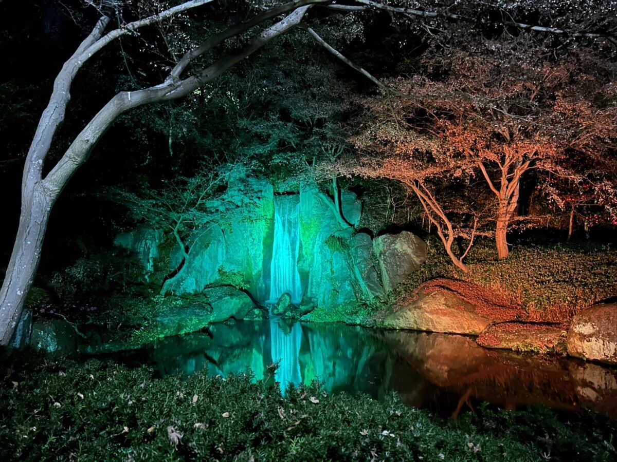 インターカルチュラル・シティ：活躍する外国人市民インタビュー Vol.17【川越レニさん】 | HAMAPO - はままつ多文化共生・国際交流ポータルサイト